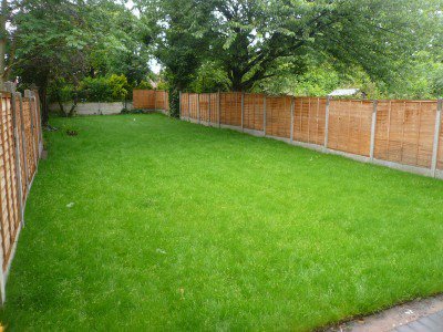 Designing a garden – a novice’s approach by Alison Wren