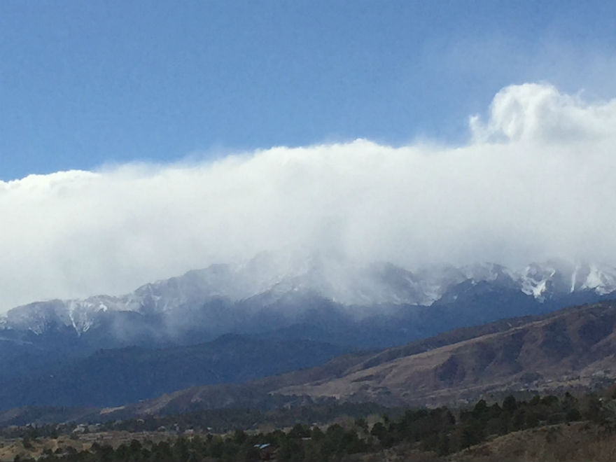 American Steppes - By Ethne Clarke - Hartley Botanic