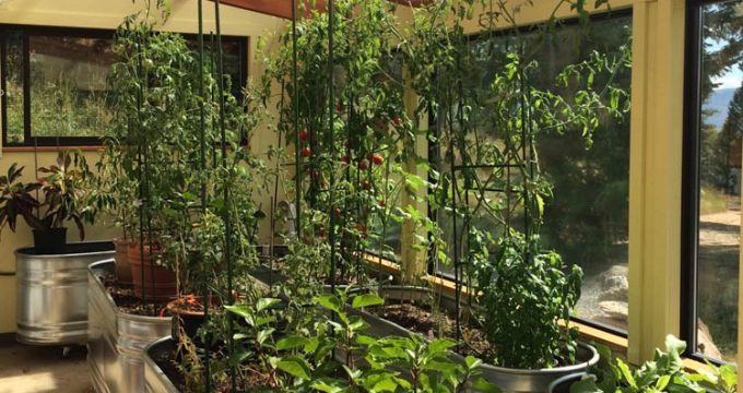 Award Winning English Greenhouses by Hartley Botanic