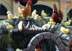 Award Winning English Greenhouses by Hartley Botanic