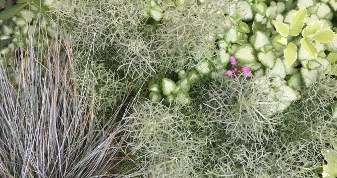 Award Winning English Greenhouses by Hartley Botanic
