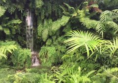 Award Winning English Greenhouses by Hartley Botanic
