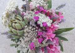 Award Winning English Greenhouses by Hartley Botanic