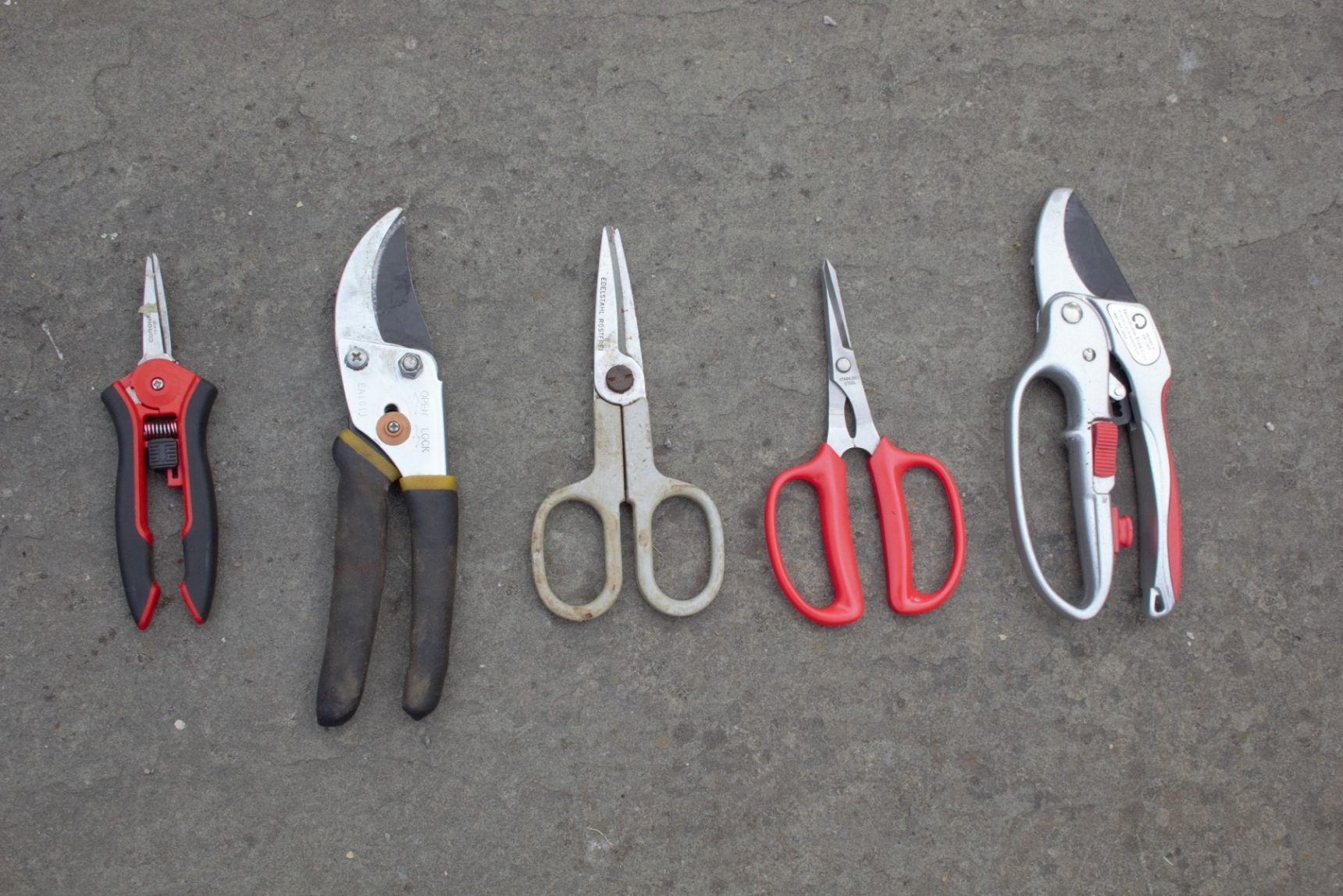 Greenhouse Tools and Equipment - Roger Marshall Hartley Botanic