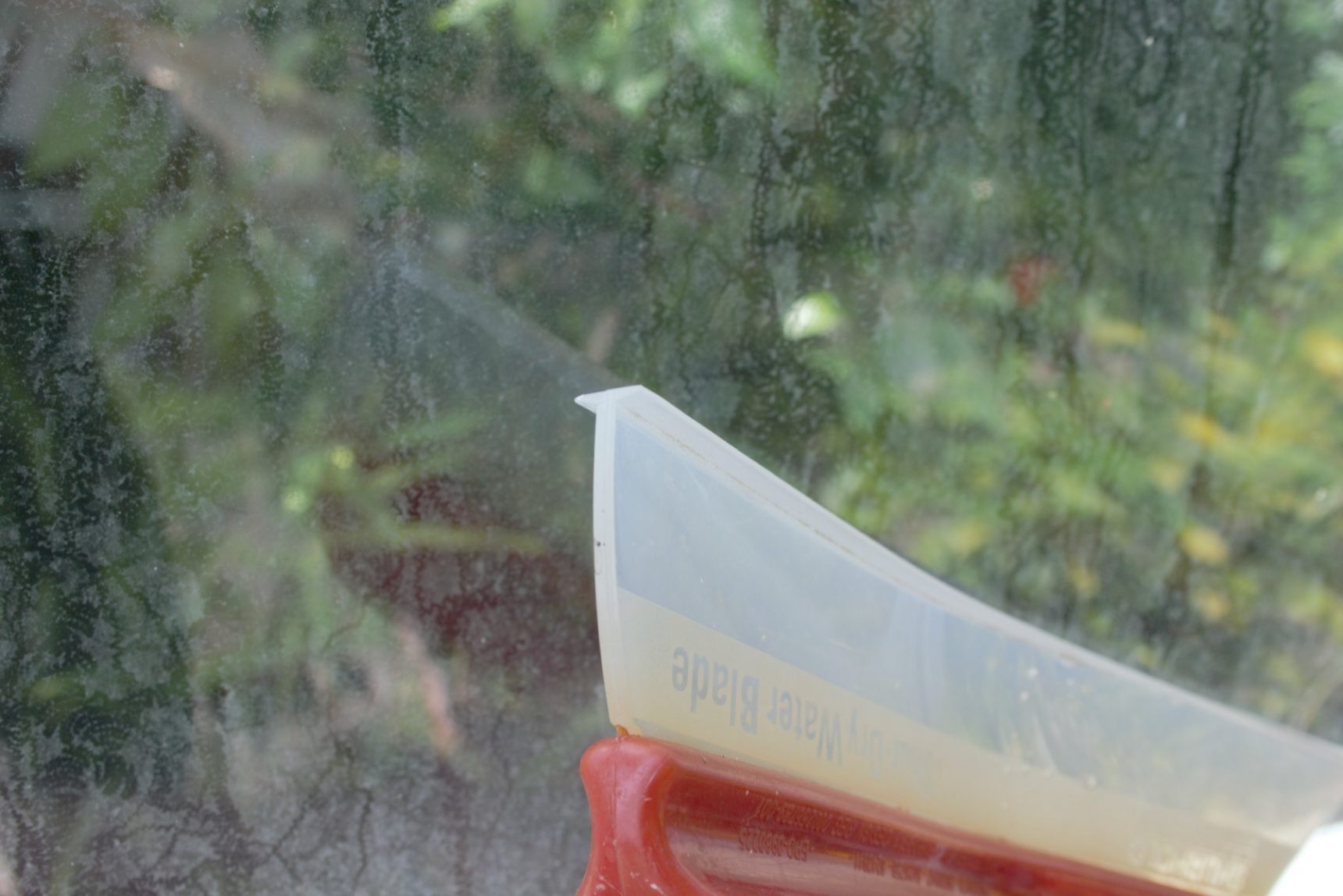 Window Cleaning and Maintenance - by Roger Marshall