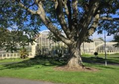 Award Winning English Greenhouses by Hartley Botanic