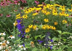 Award Winning English Greenhouses by Hartley Botanic