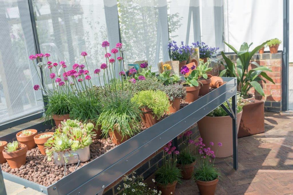 Top five greenhouse accessories - by Lia Leendertz