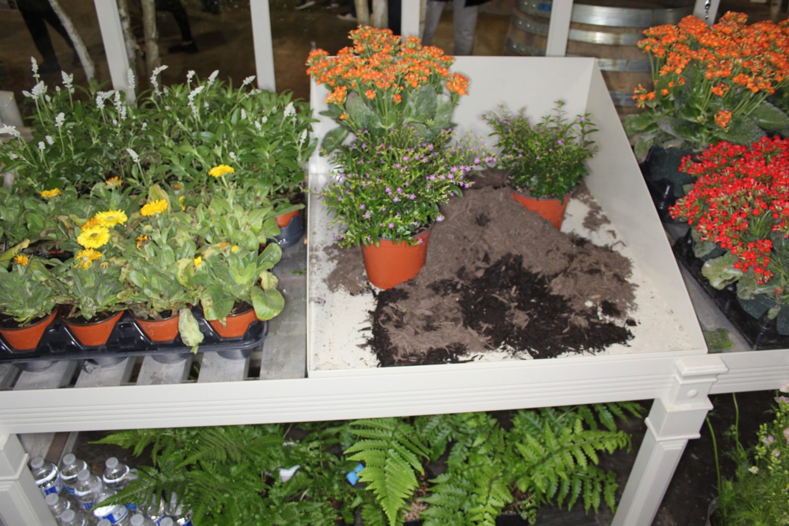 Greenhouse Tables and Work Benches - by Roger Marshall