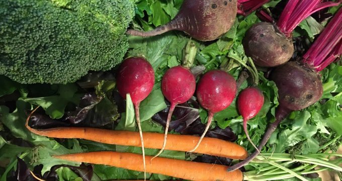 Award Winning English Greenhouses by Hartley Botanic