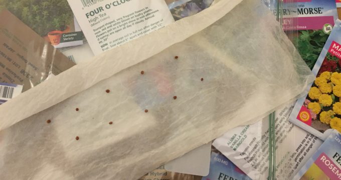 Award Winning English Greenhouses by Hartley Botanic