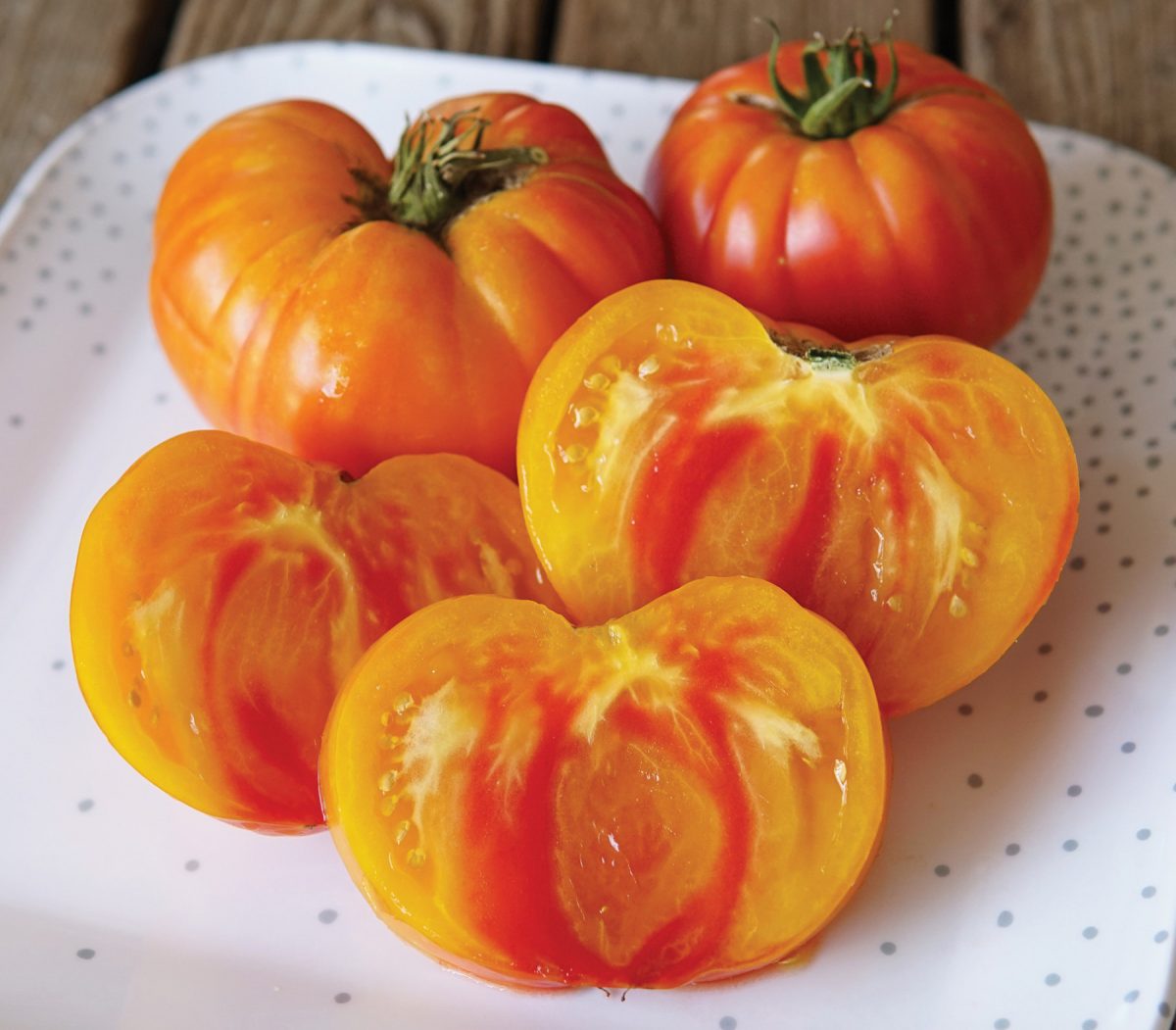 Why Buy Organic Seeds? - by Mary-Kate Mackey