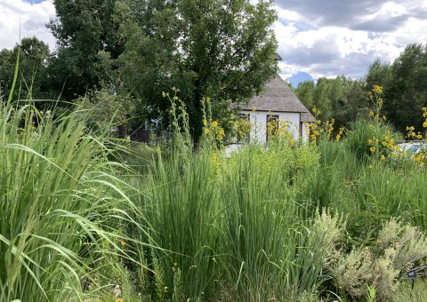 Award Winning English Greenhouses by Hartley Botanic
