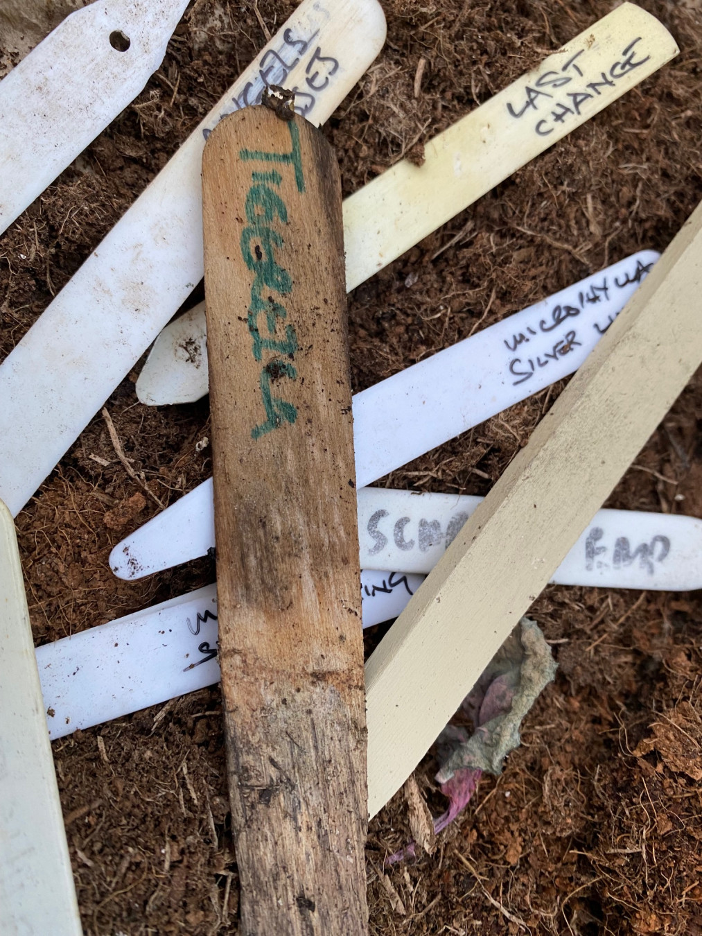 How to keep things correctly labeled - by Jean Vernon