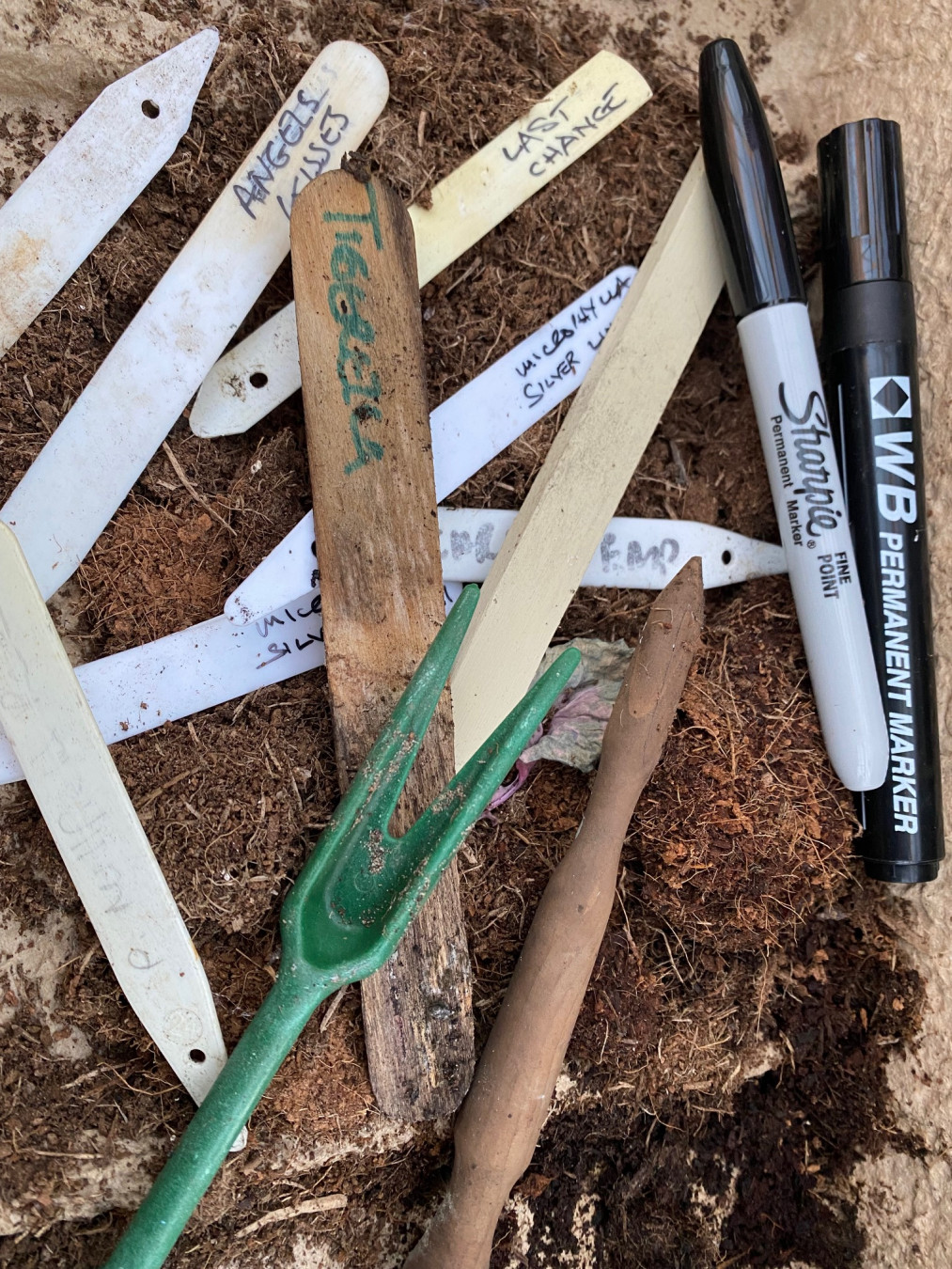 How to keep things correctly labeled - by Jean Vernon