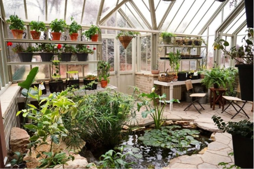 HARTLEY BOTANIC’S ANNUAL GLASSHOUSE & GREENHOUSE NEW YEAR PREDICTIONS ...