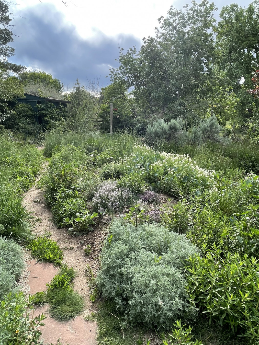 Why Be Water Wise in the Garden? - by Ethne Clarke