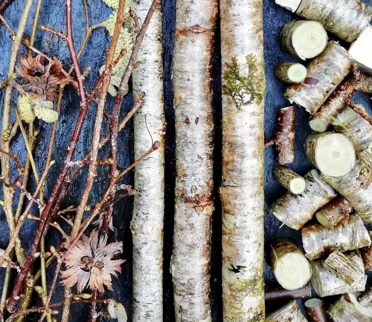 All hail hazel - by John Walker