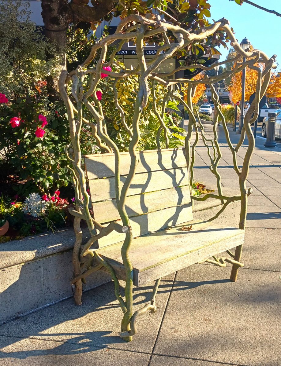 Greenhouse Furniture – How to Find What You Need - by Mary-Kate Mackey