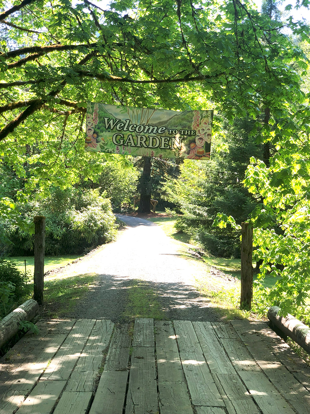 Herbs to Start in the Greenhouse - by Mary-Kate Mackey