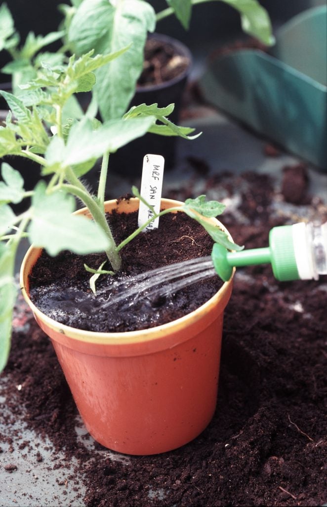 Must have greenhouse gadgets - by Jean Vernon