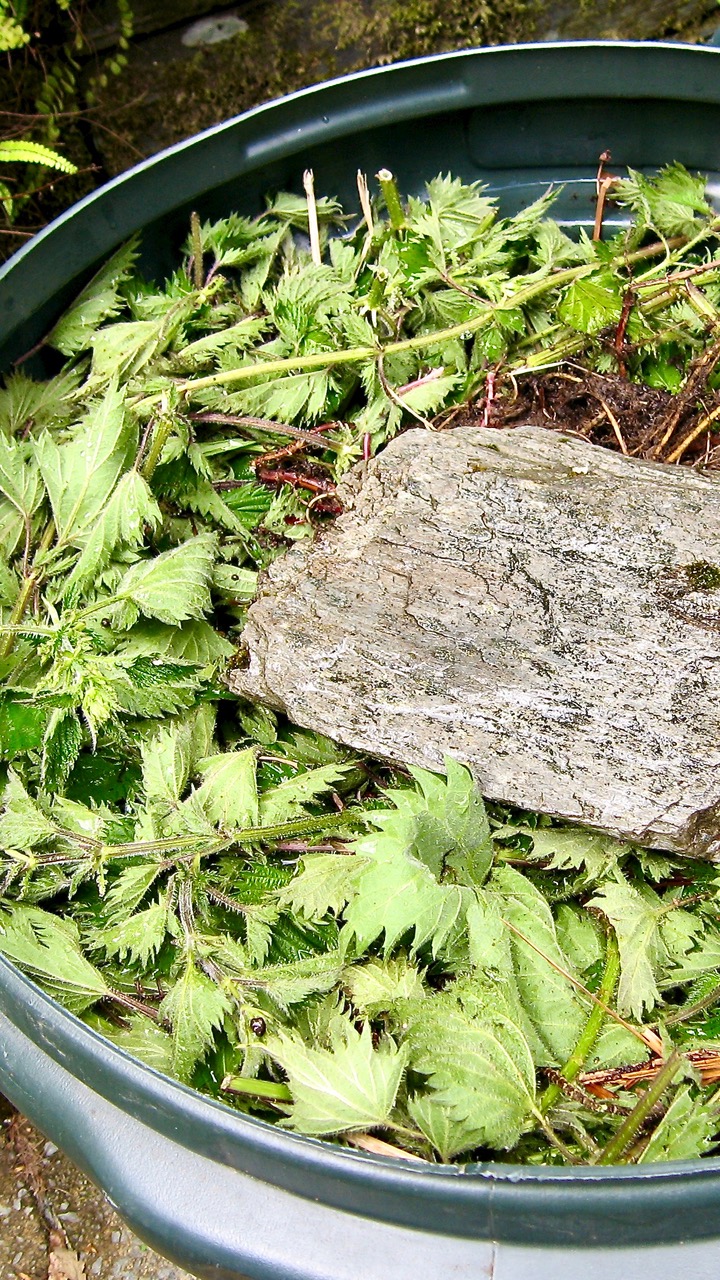 Grasp the nettle - by John Walker