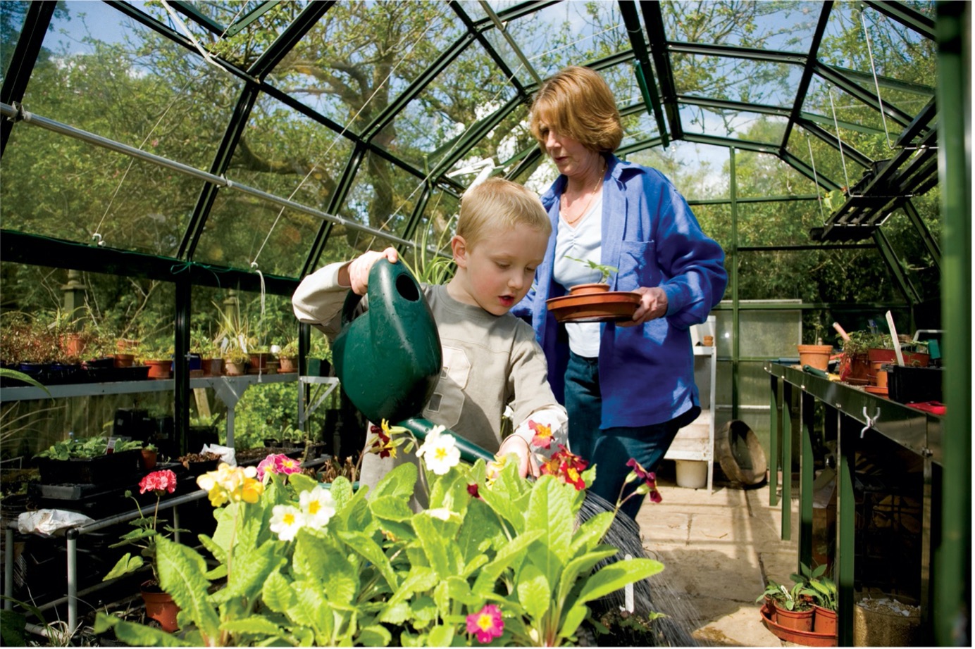 Greenhouse Growing Projects Your Grandchildren Will Love This Summer ...