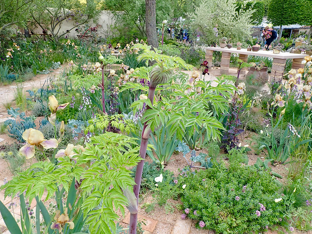 The Spinning Thread – mellow yellow - by Val Bourne