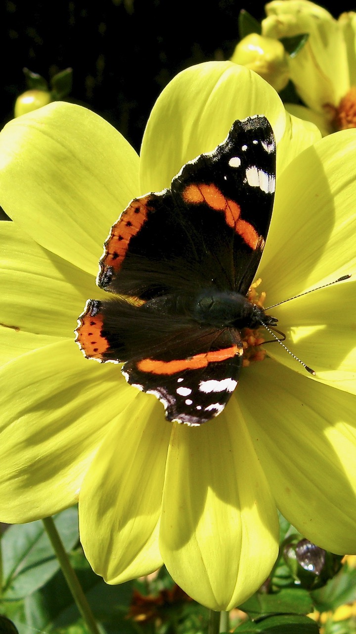 What if… ? - by John Walker