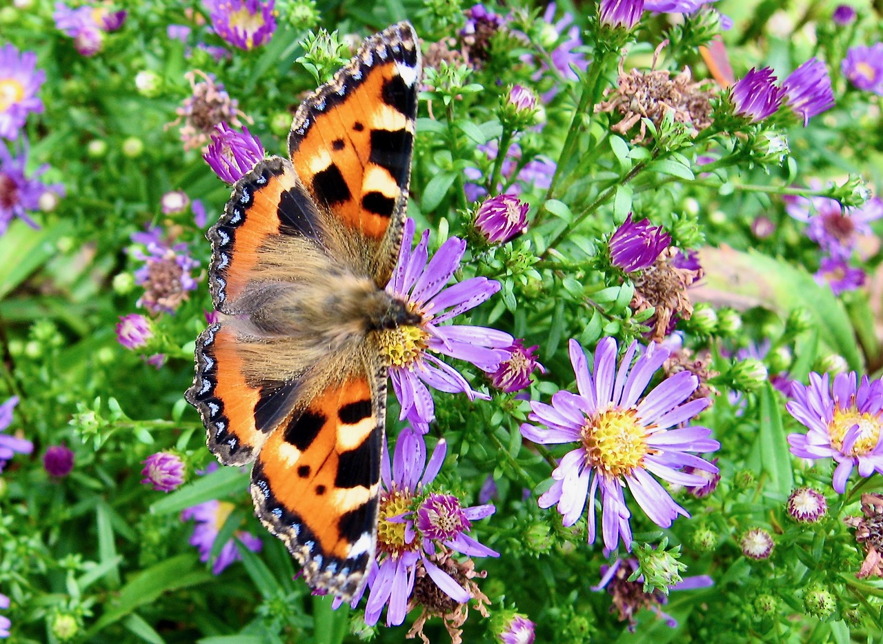 What if… ? - by John Walker