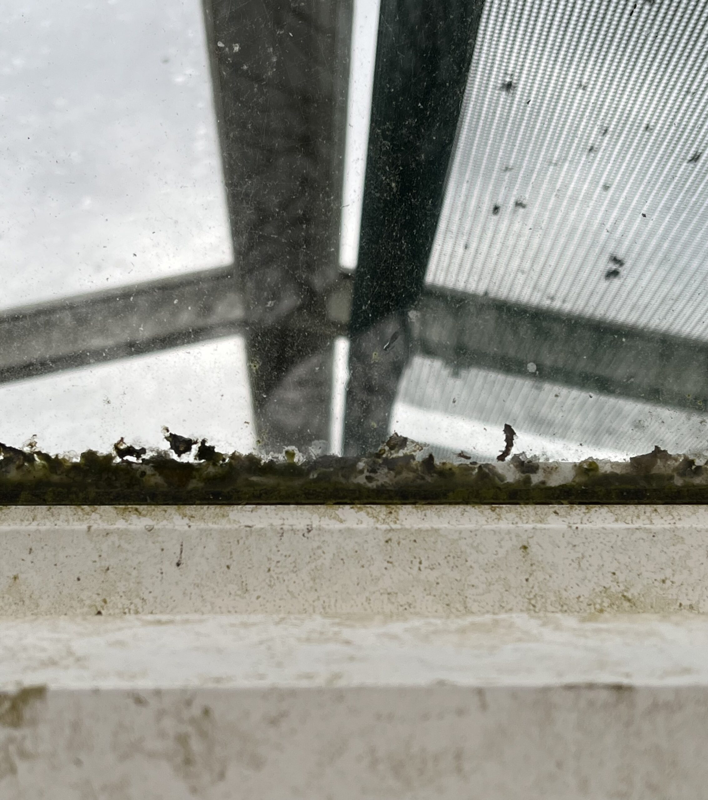 Pollination to potting on, March is a month for action. - by Matthew Biggs