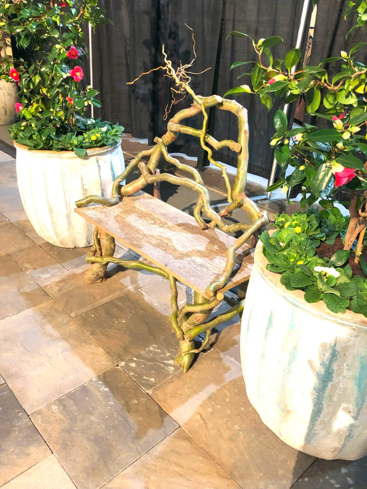 Jellyfish in the Glasshouse — Great Ideas from the Northwest Flower & Garden Festival - by Mary ...