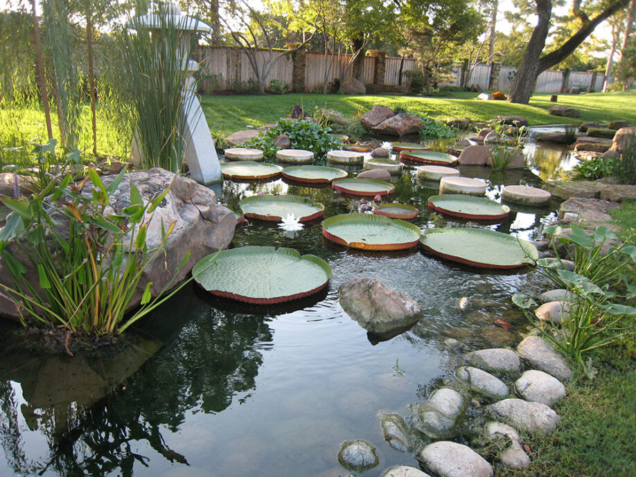 Private Garden Touring – How to Get the Most Inspiration from What You ...