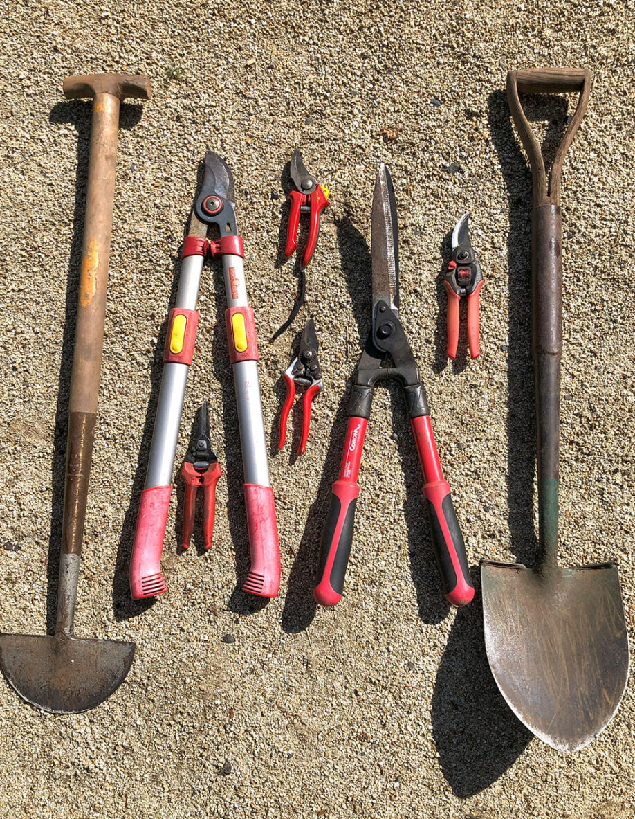 Sharpest Tools in the Shed - Why We Need Them - by Mary-Kate Mackey