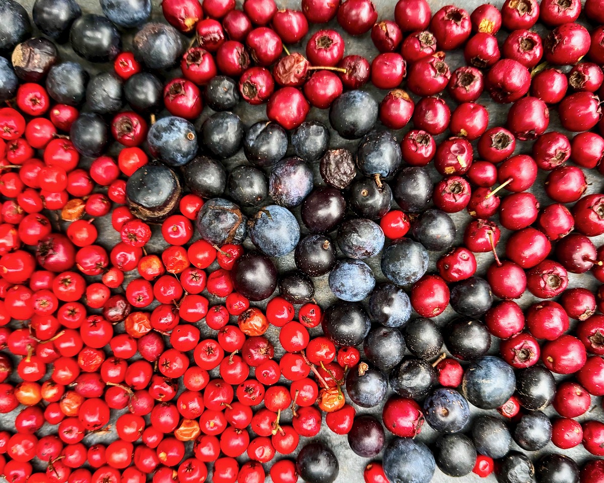 Carbon catchers - by John Walker