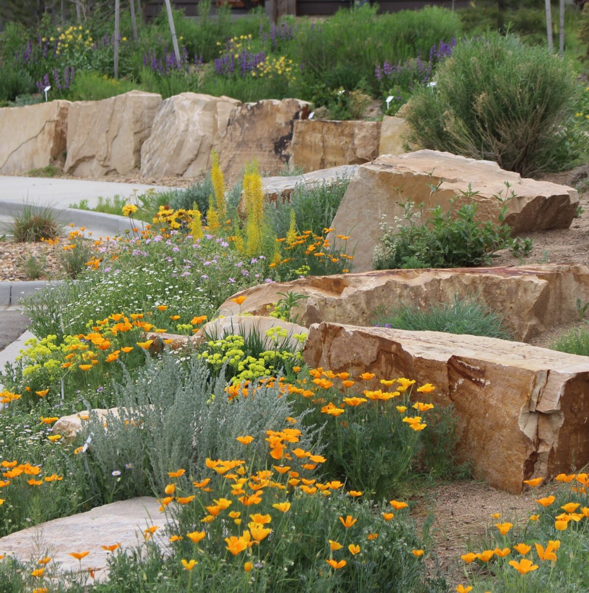 High Plains Environmental Gardening: a user's guide. - by Ethne Clarke