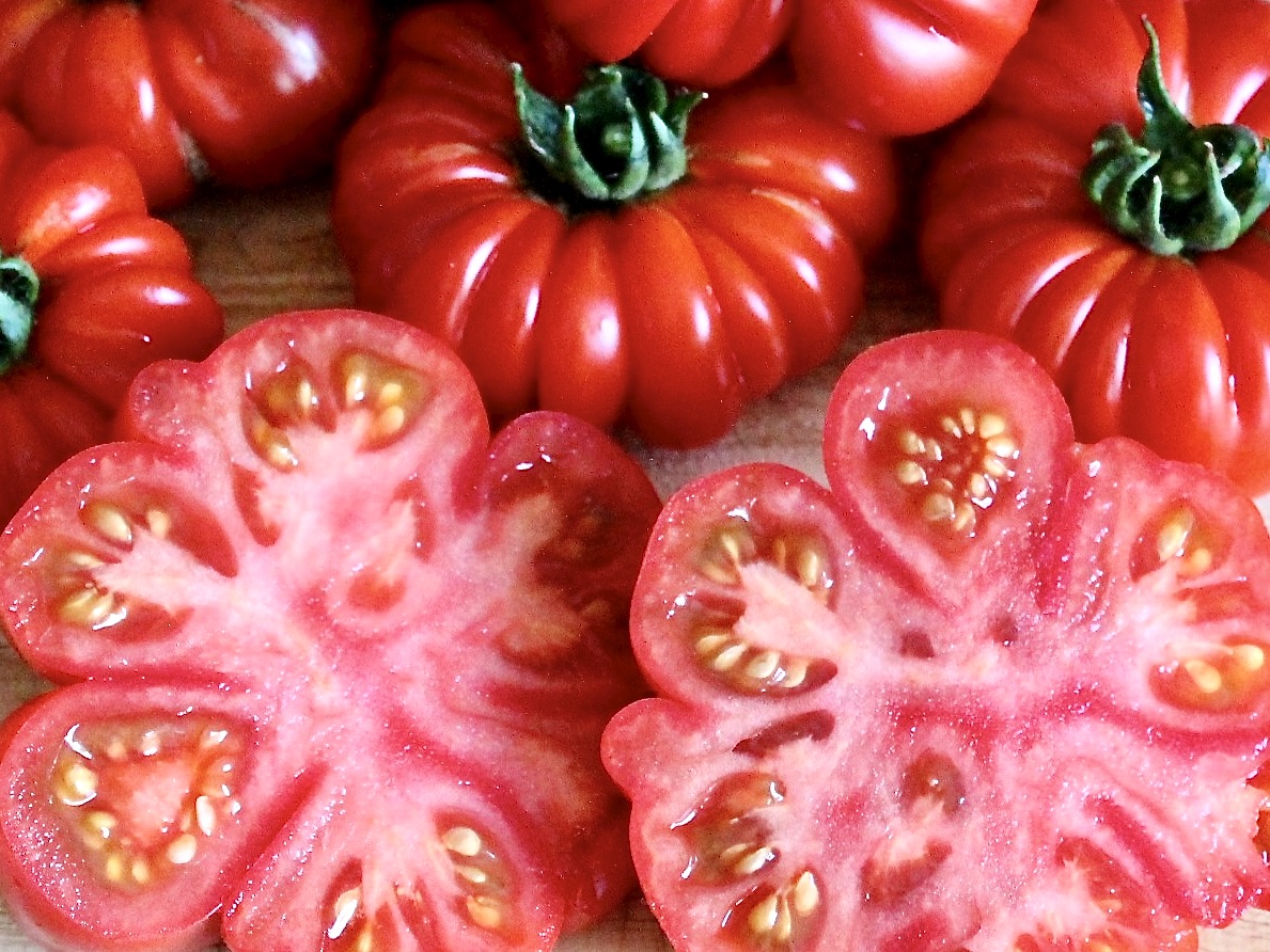 Grow your own resilience - by John Walker